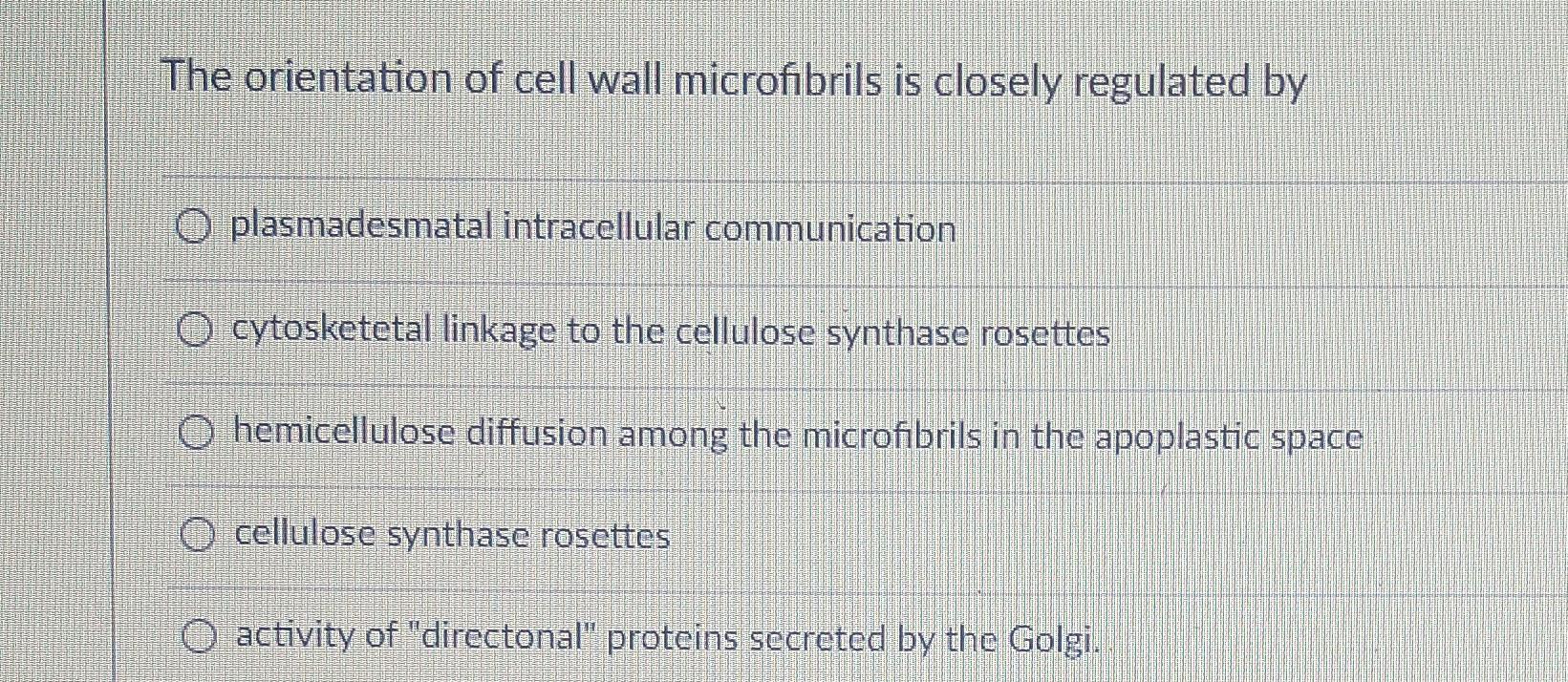 Solved The orientation of cell wall microfibrils is closely | Chegg.com