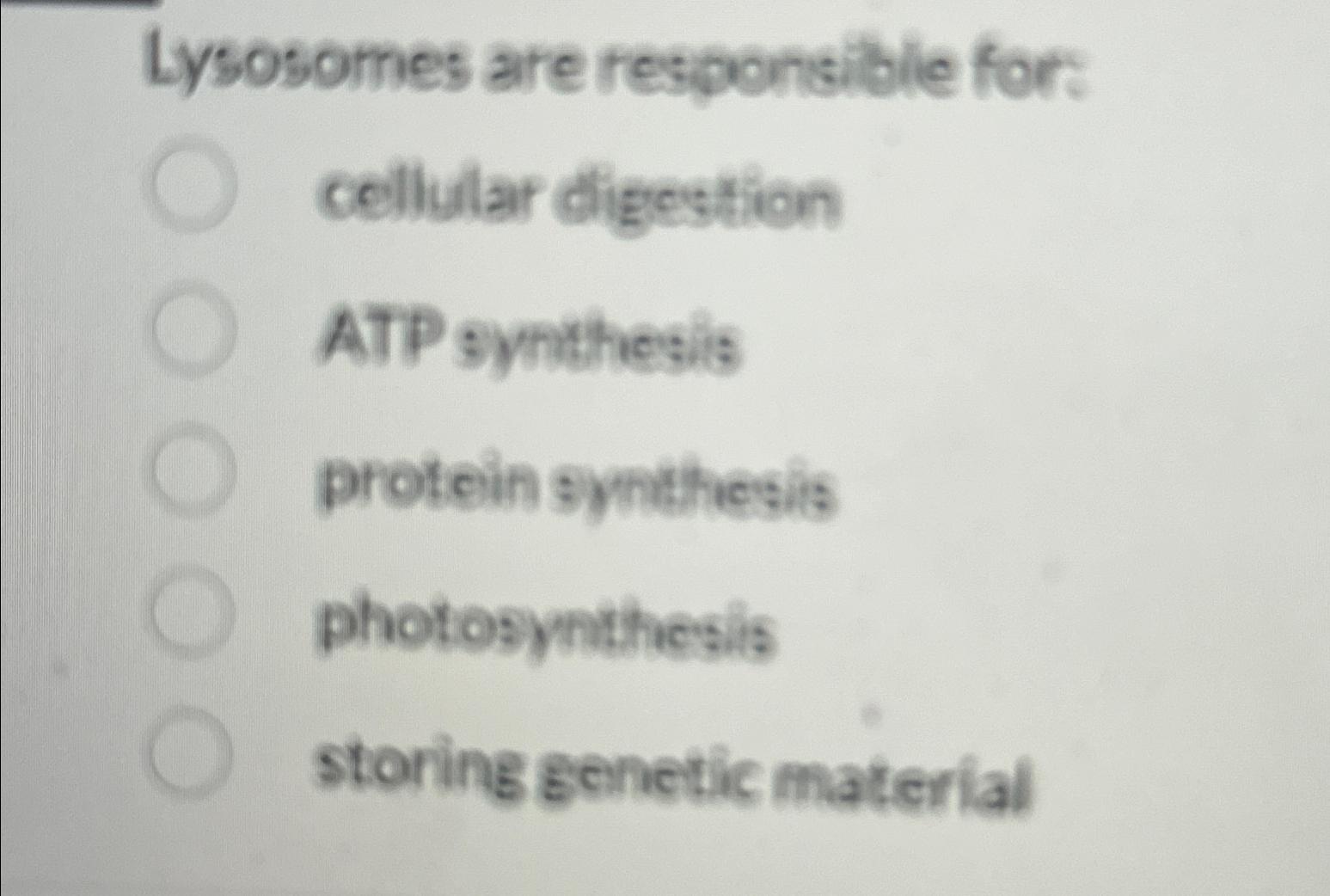 Solved Lysosomes are responsible for:cellular digestionATP | Chegg.com