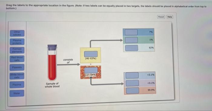Solved Drag the labels to the appropriate location in the | Chegg.com