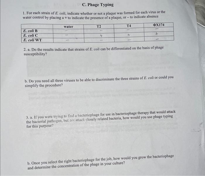 Solved C. Phage Typing 1. For each strain of E. coli, | Chegg.com