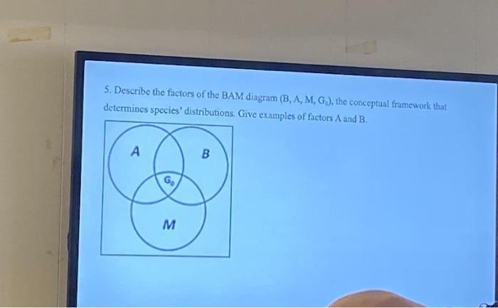 Solved 5. Describe the factors of the BAM diagram | Chegg.com