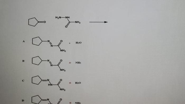 Solved HAN-NH -NH2 HO NH, B NH NH HO HN NH D NI | Chegg.com