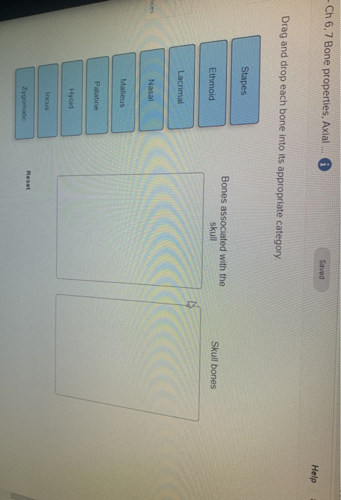 Solved - Ch 6.7 Bone properties, Axial... Saved Help Drag | Chegg.com Solved - Ch 6.7 Bone properties, Axial... Saved Help Drag | Chegg.com