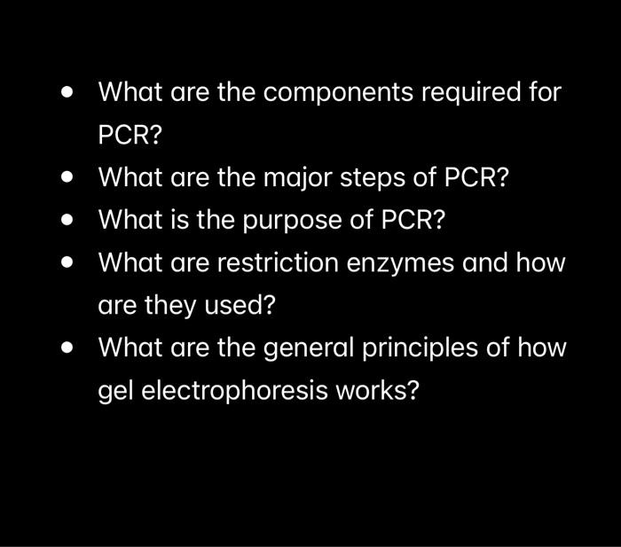 Solved - What are the components required for PCR? - What | Chegg.com