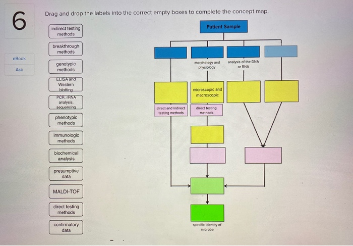 Solved Drag and drop the labels into the correct empty boxes | Chegg.com