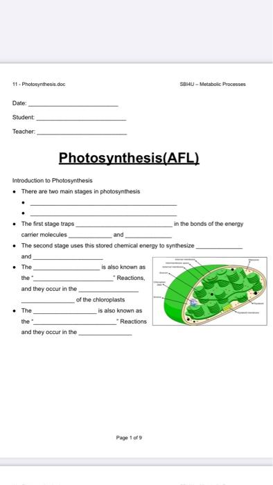 Solved 11 - Photosynthesis.doc SB4U - Metabolic Processes | Chegg.com