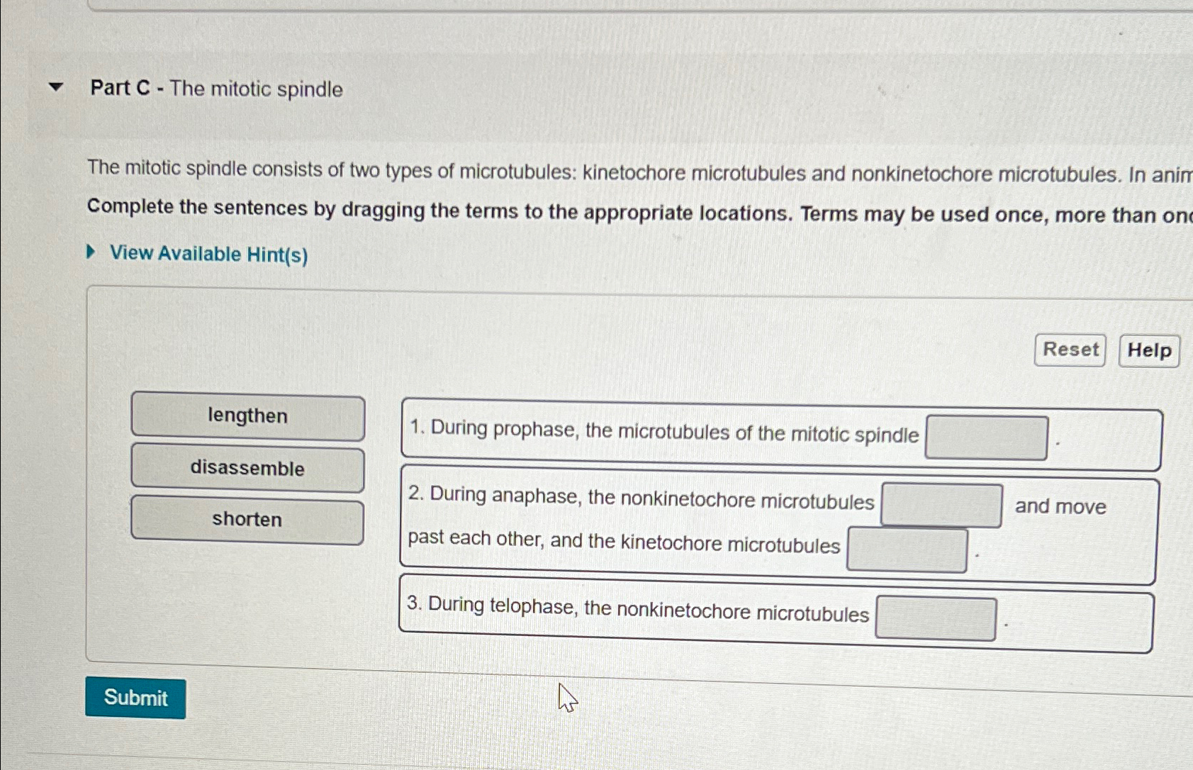 Part C - ﻿The mitotic spindleThe mitotic spindle | Chegg.com