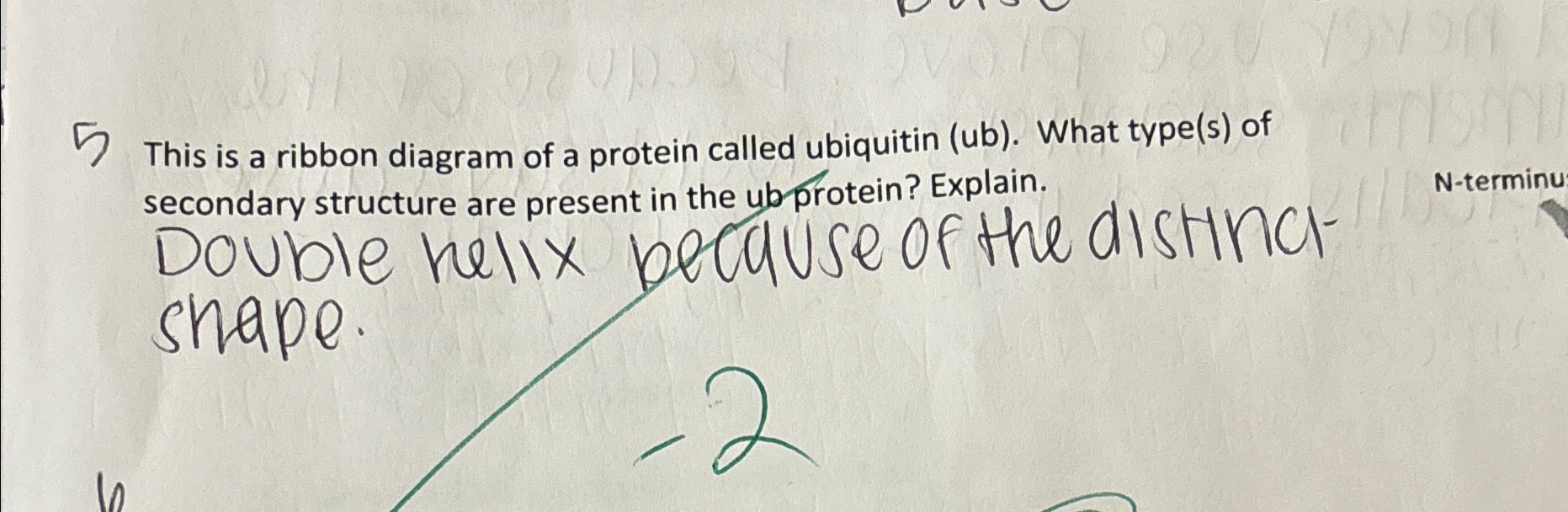 Solved 5 ﻿This is a ribbon diagram of a protein called | Chegg.com