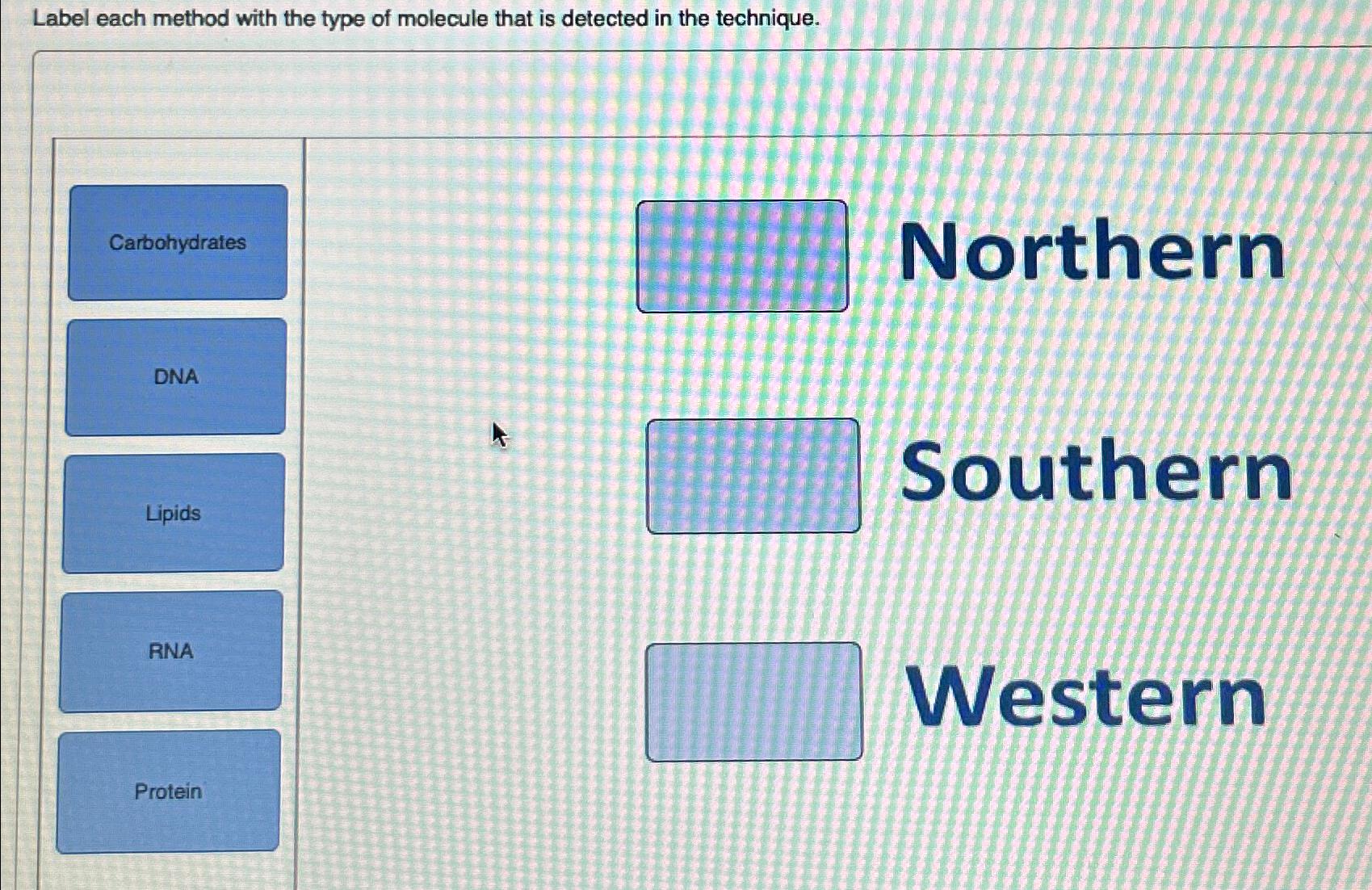 Solved Label each method with the type of molecule that is | Chegg.com