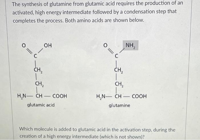 Solved The synthesis of glutamine from glutamic acid | Chegg.com
