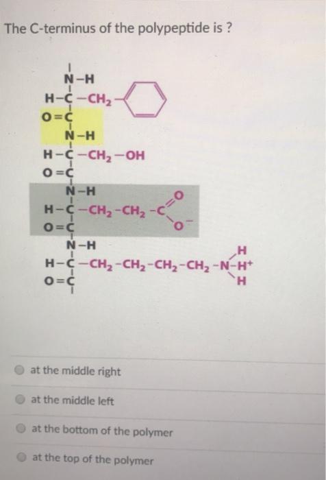 Solved Consistent with the AT/GC base-pairing rule, purines | Chegg.com