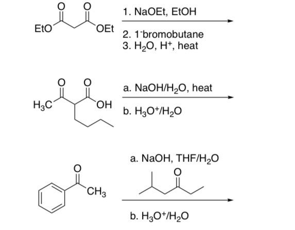 Solved 1. NaOEt,EtOH 2. 1 bromobutane 3. H2O,H+, heat a. | Chegg.com