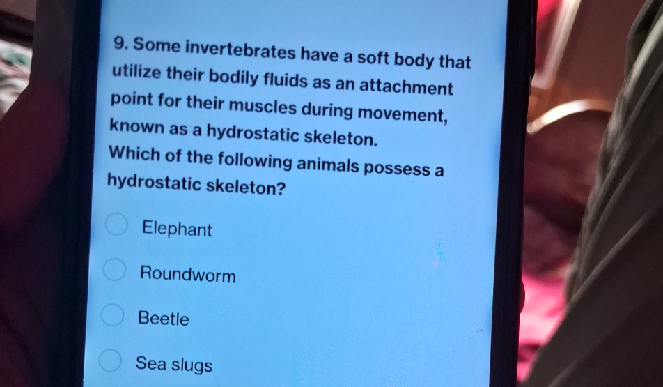 Solved Some invertebrates have a soft body that utilize | Chegg.com