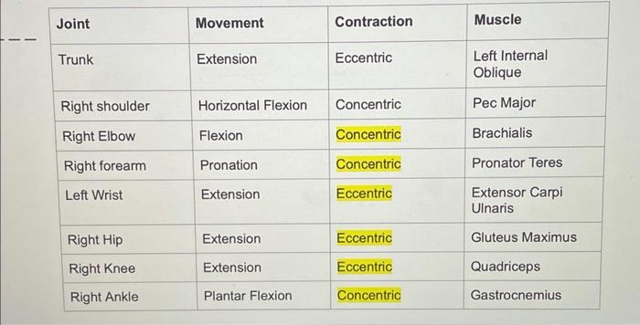 Solved Joint Movement Contraction Muscle Trunk Extension | Chegg.com