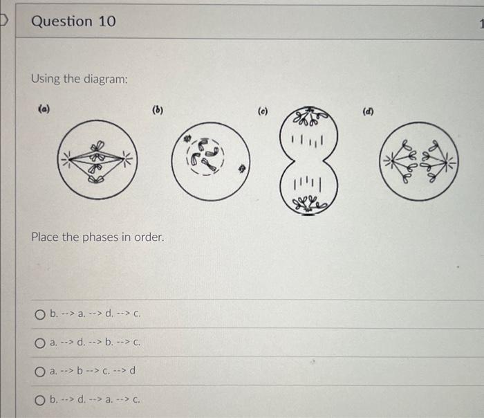 Solved Using the diagram: (a) (b) (c) (d) Place the phases | Chegg.com