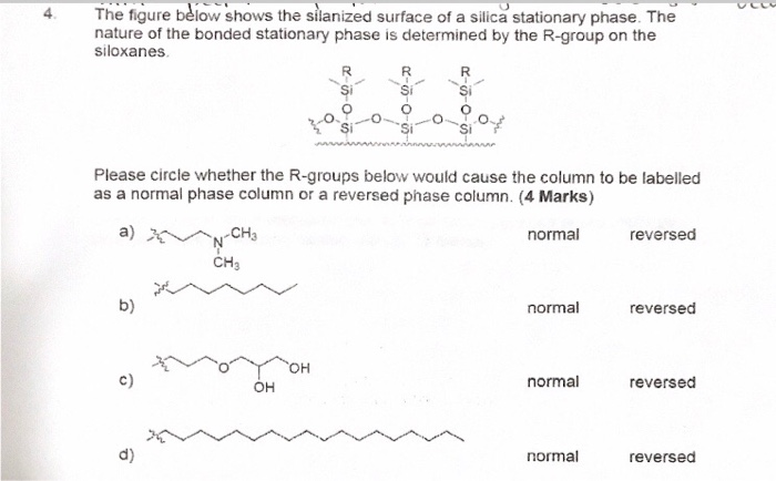 Solved The figure below shows the silanized surface of a | Chegg.com