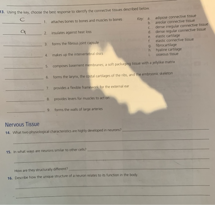 Solved e. 73. Using the key choose the best response to | Chegg.com