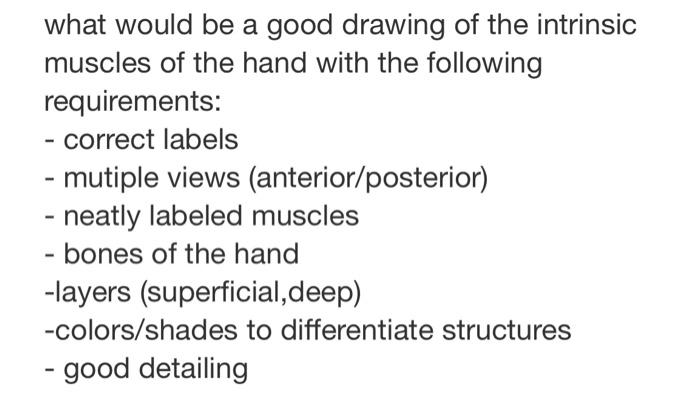 what would be a good drawing of the intrinsic muscles | Chegg.com