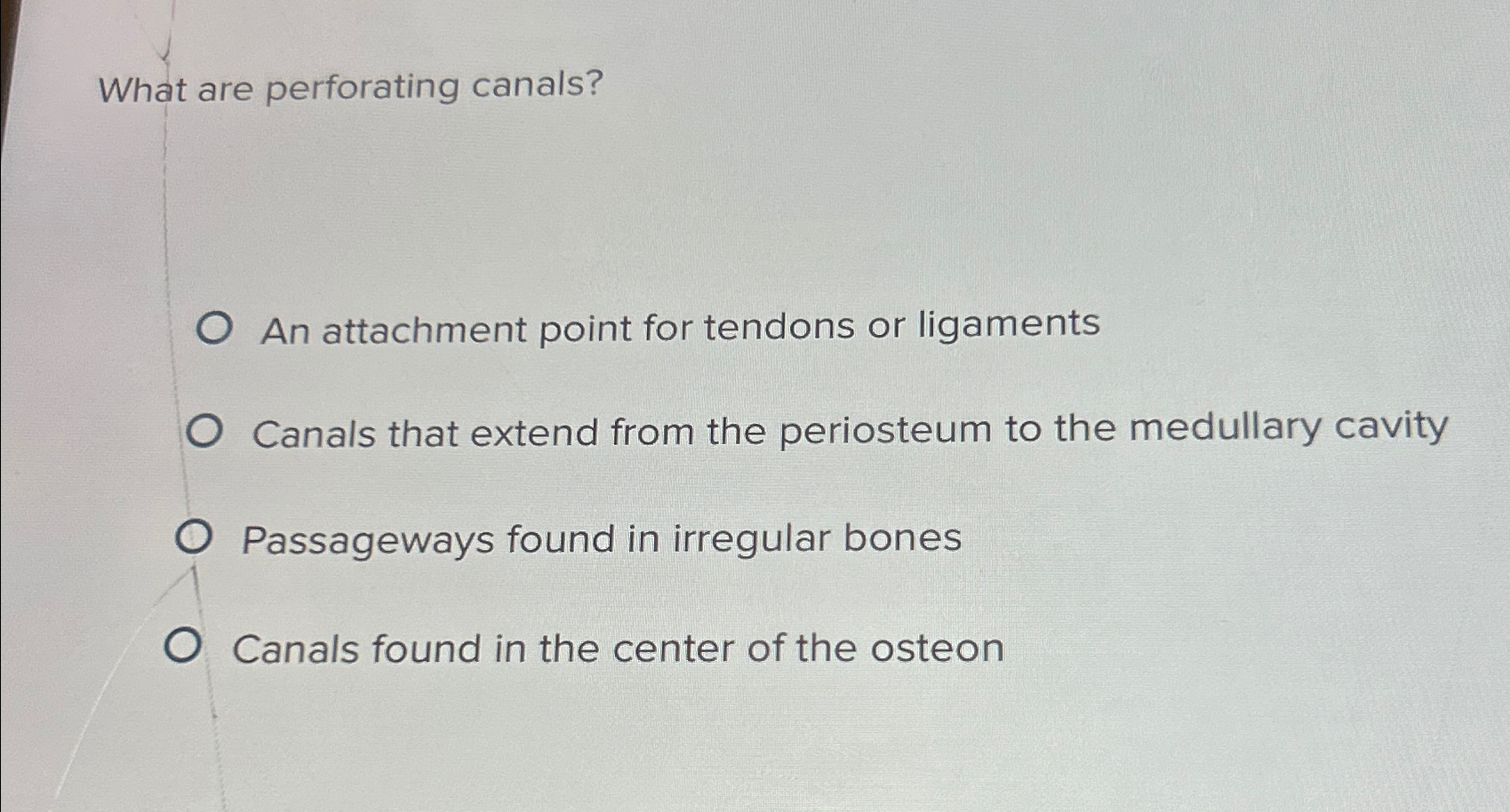 Solved What are perforating canals?An attachment point for | Chegg.com