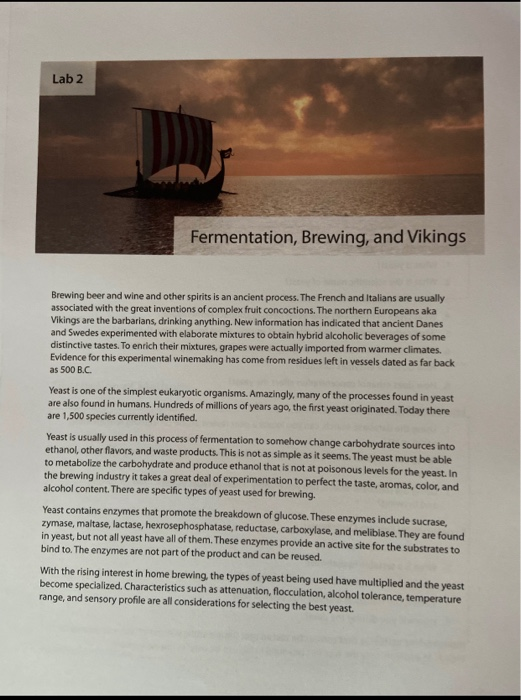 Lab 2 Fermentation, Brewing, and Vikings Brewing beer | Chegg.com