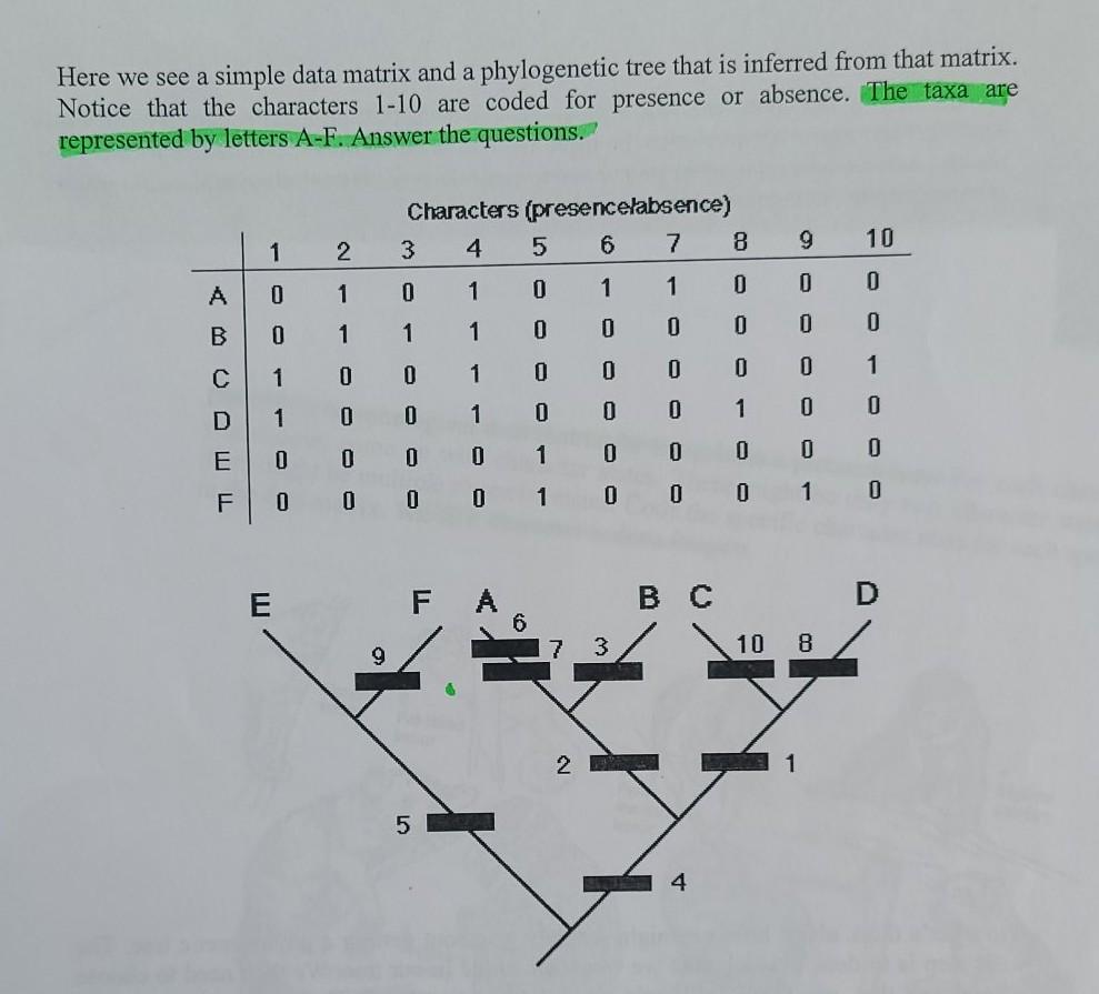 Solved Here we see a simple data matrix and a phylogenetic | Chegg.com