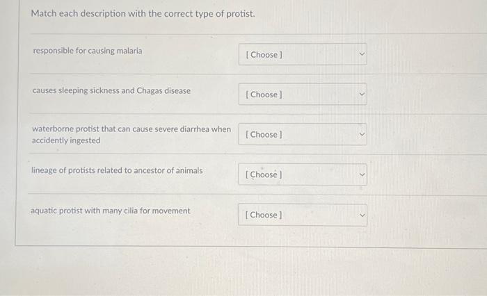 Solved Match each description with the correct type of | Chegg.com