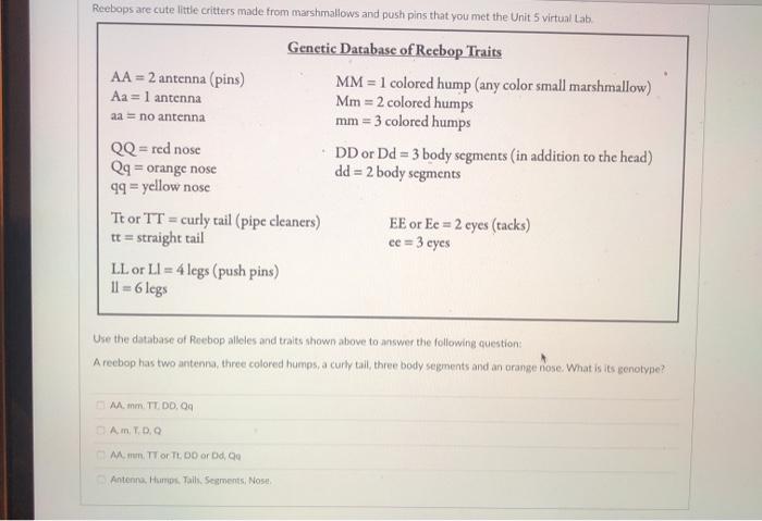 Solved Reebops are cute little critters made from | Chegg.com
