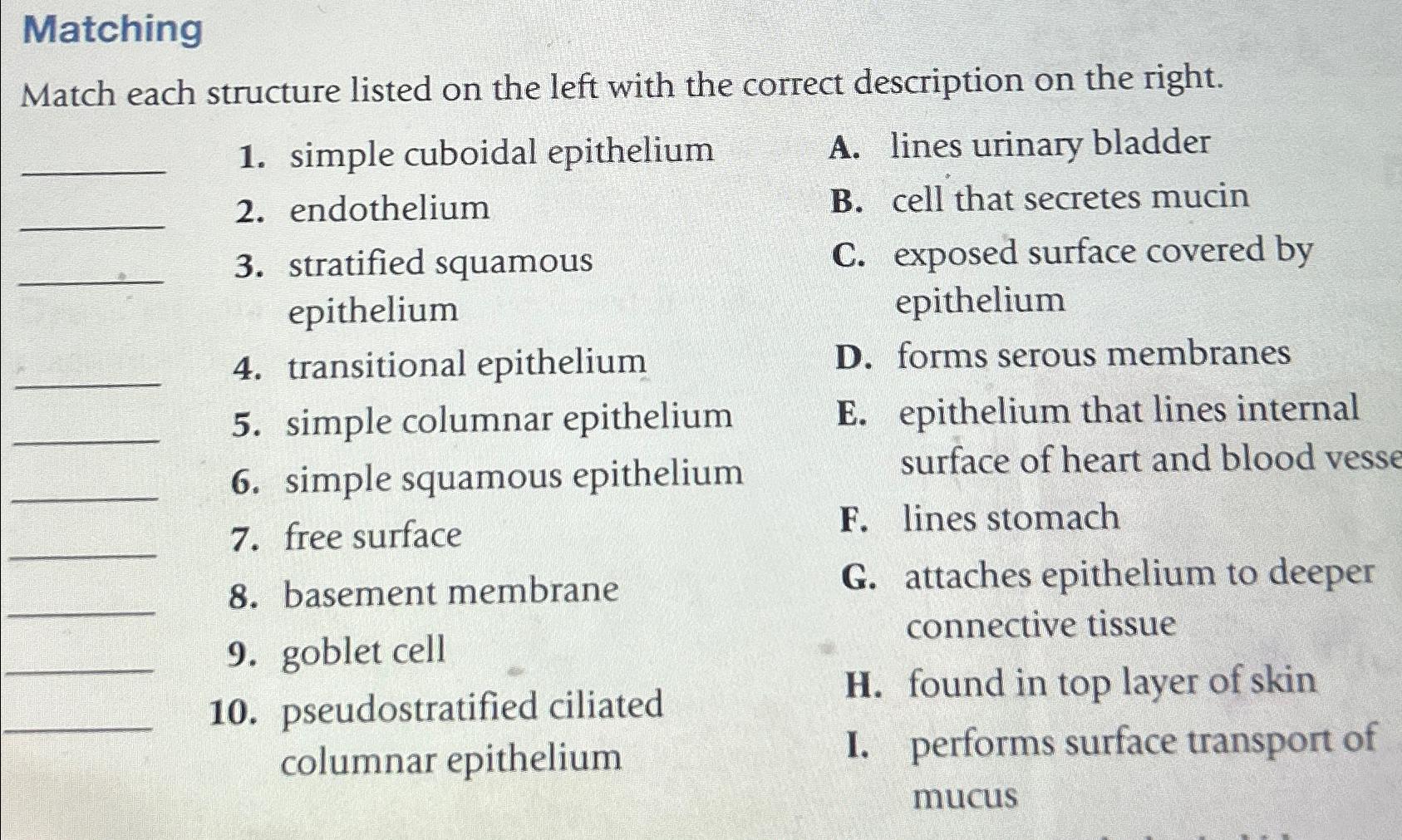 Solved MatchingMatch each structure listed on the left with | Chegg.com