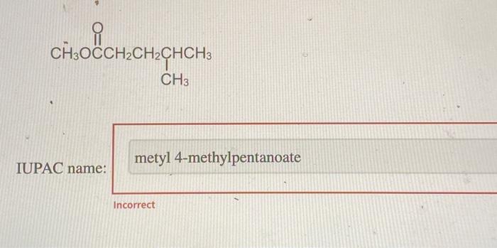 Solved IUPAC name: Incorrect | Chegg.com