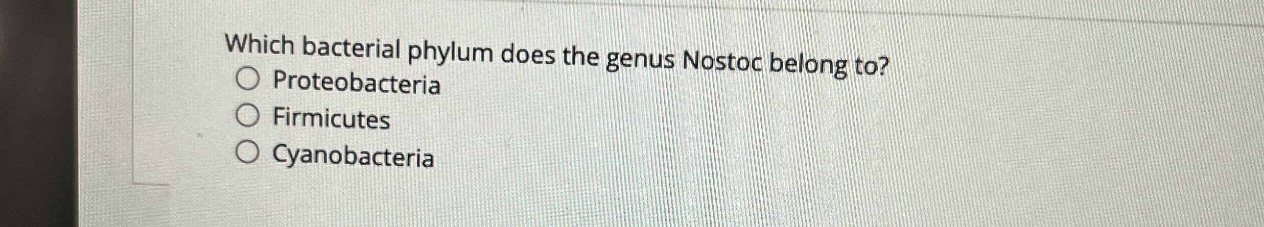 Solved Which bacterial phylum does the genus Nostoc belong | Chegg.com