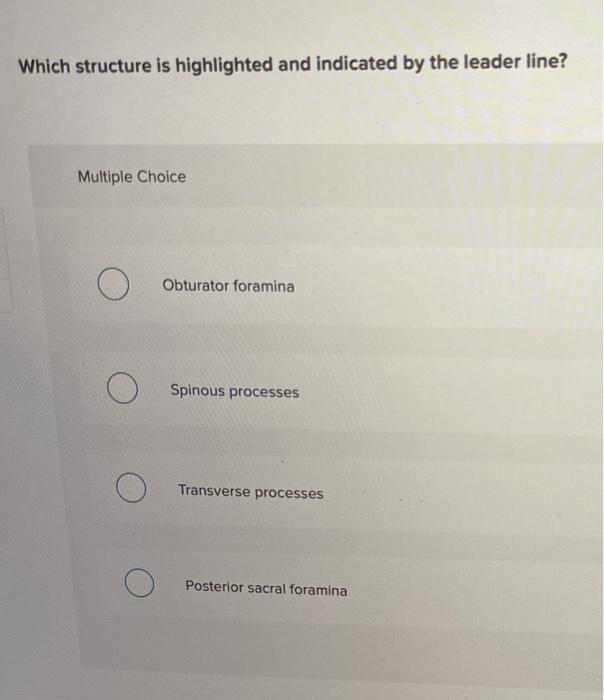 Solved Which structure is highlighted and indicated by the | Chegg.com