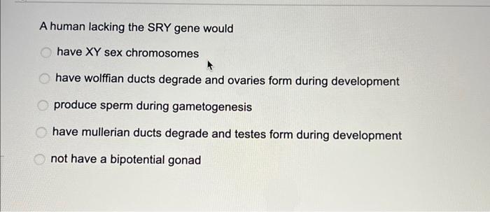Solved A human lacking the SRY gene would have XY sex | Chegg.com
