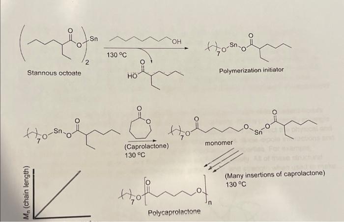 Solved Sn OH osn Sn 130 °C Stannous octoate Polymerization | Chegg.com