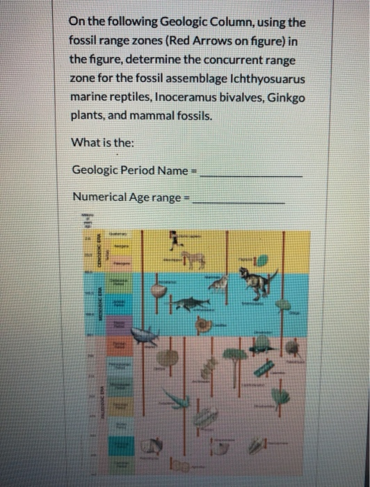 Solved On the following Geologic Column, using the fossil | Chegg.com