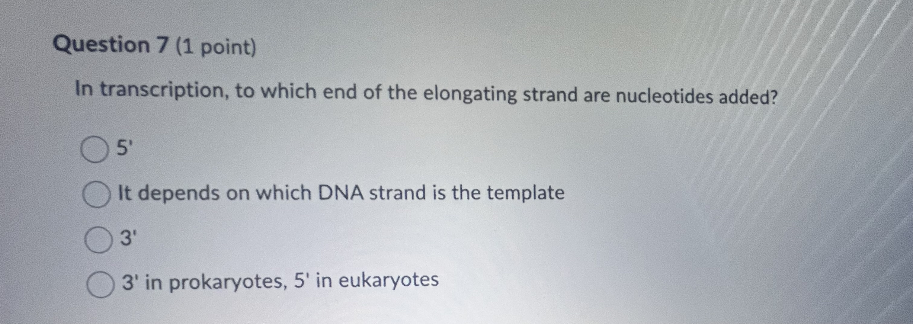 Solved Question 7 (1 ﻿point)In transcription, to which end | Chegg.com