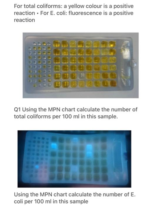 Solved For total coliforms: a yellow colour is a positive | Chegg.com