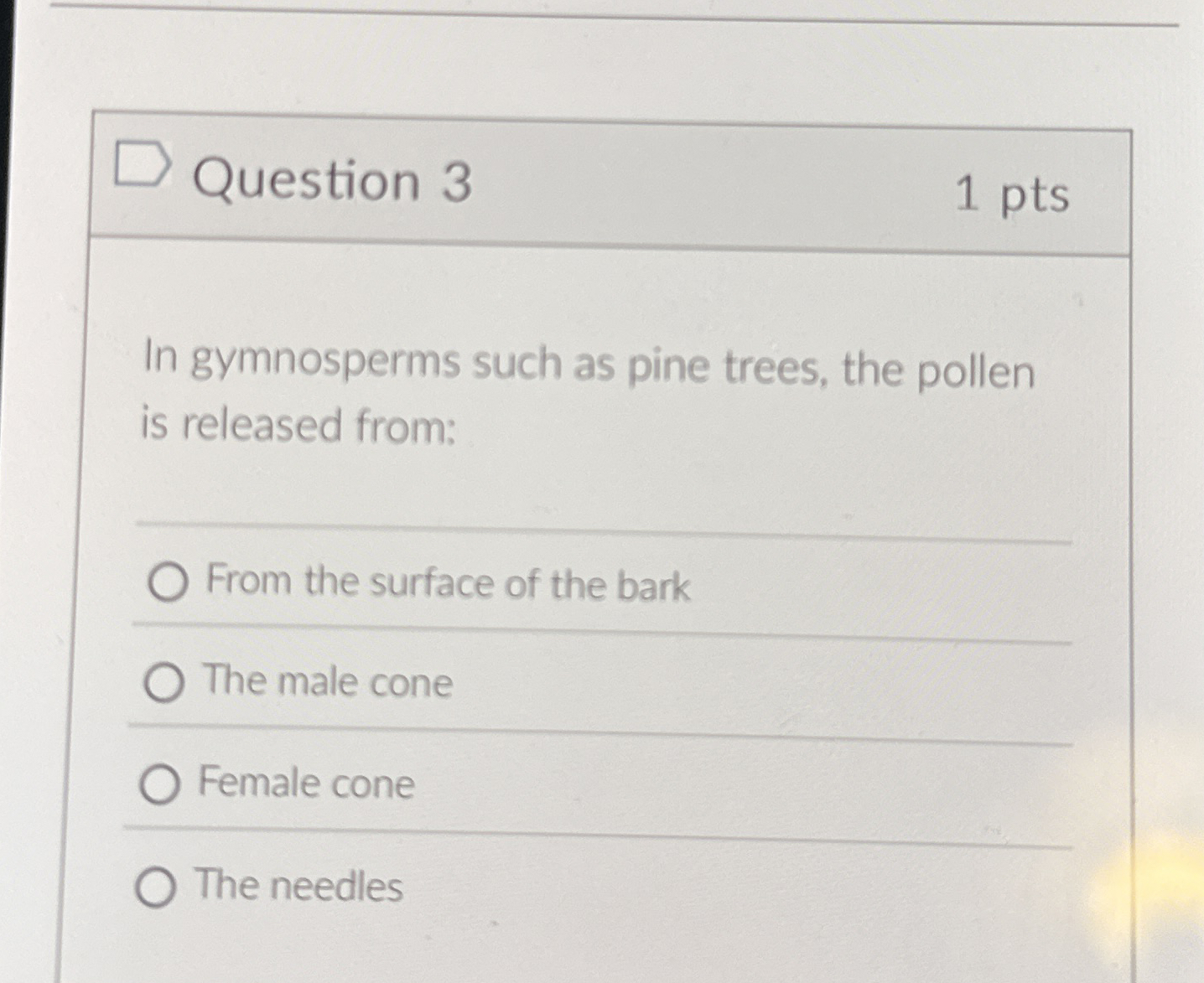 Solved Question 31 ﻿ptsIn gymnosperms such as pine trees, | Chegg.com