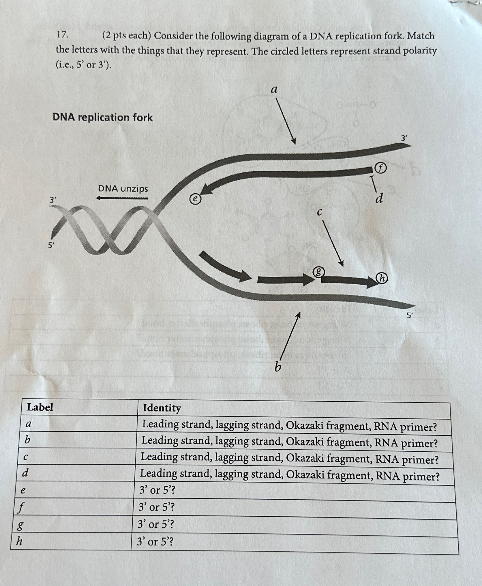 Solved (2 ﻿pts each) ﻿Consider the following diagram of a | Chegg.com