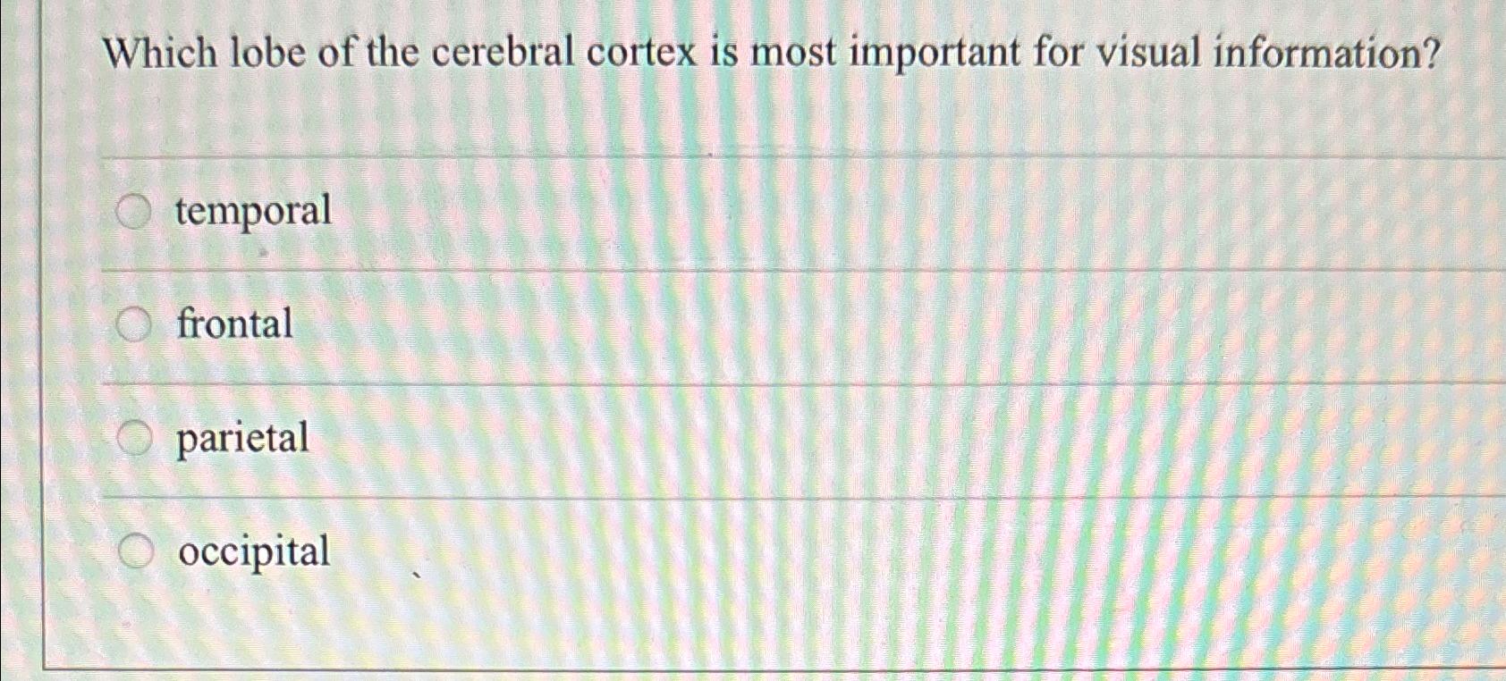 Solved Which lobe of the cerebral cortex is most important | Chegg.com