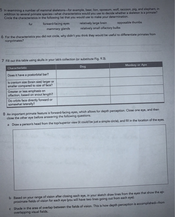 postorbital bar orbits forward-facing no postordital | Chegg.com