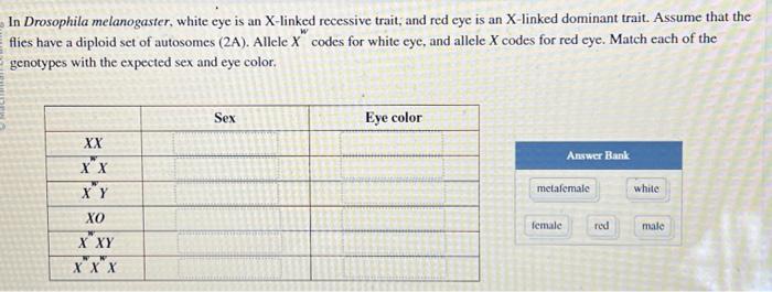 Solved In Drosophila Melanogaster White Eye Is An X Lin 7076