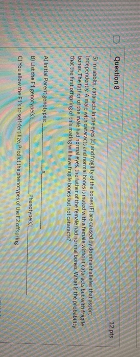 Solved D Question 8 12 pts 5) In rabbits, cataracts in the | Chegg.com