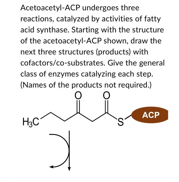 Solved Acetoacetyl-ACP undergoes three reactions, catalyzed | Chegg.com