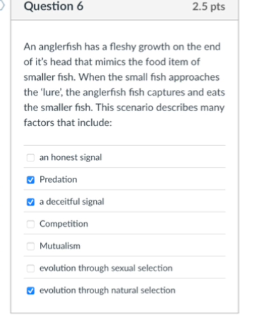 Solved Question 6An anglerfish has a fleshy growth on the | Chegg.com Solved Question 6An anglerfish has a fleshy growth on the | Chegg.com