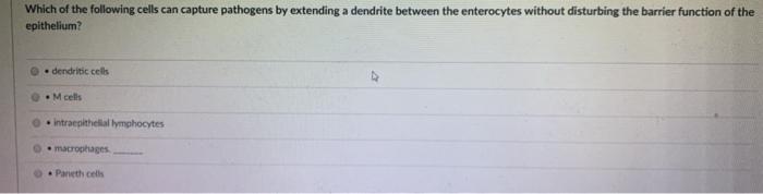 Solved Which of the following cells can capture pathogens by | Chegg.com