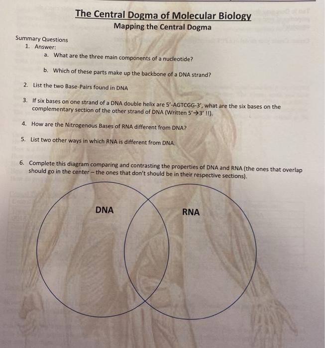 Solved The Central Dogma of Molecular Biology Mapping the | Chegg.com