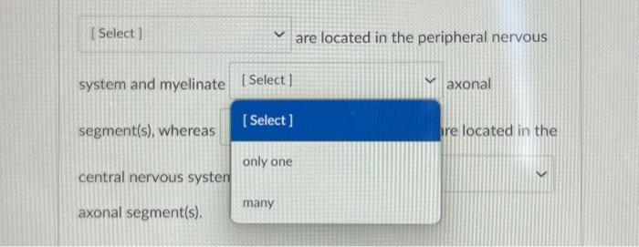 Solved 10 Question 5 2pts [Select ] are located in the | Chegg.com