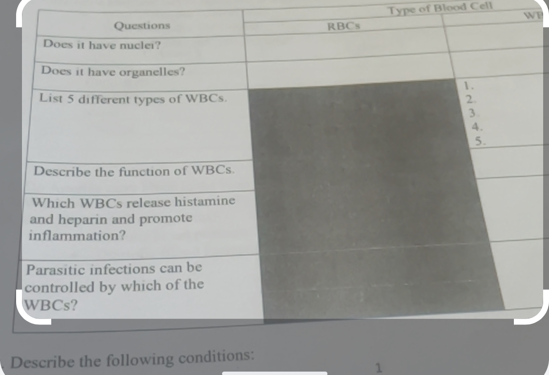 Solved \table[[Questions,Type of BBCs,],[Does it have | Chegg.com