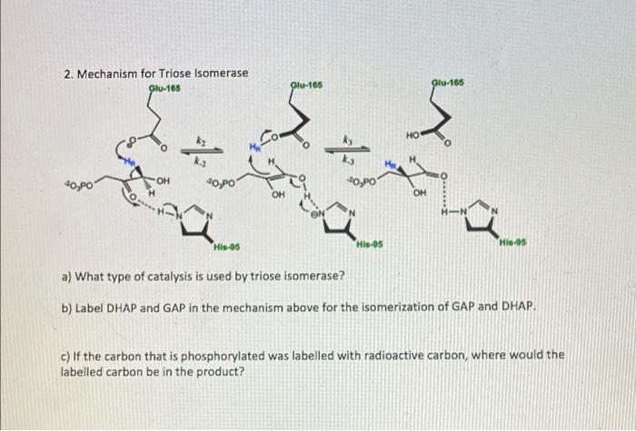 Solved 2. Mechanism for Triose Isomerase Glu-165 OH 0,PO 40, | Chegg.com