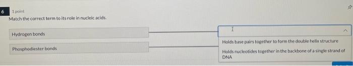 Solved 1 1 point Given the DNA sequence below, enter the | Chegg.com